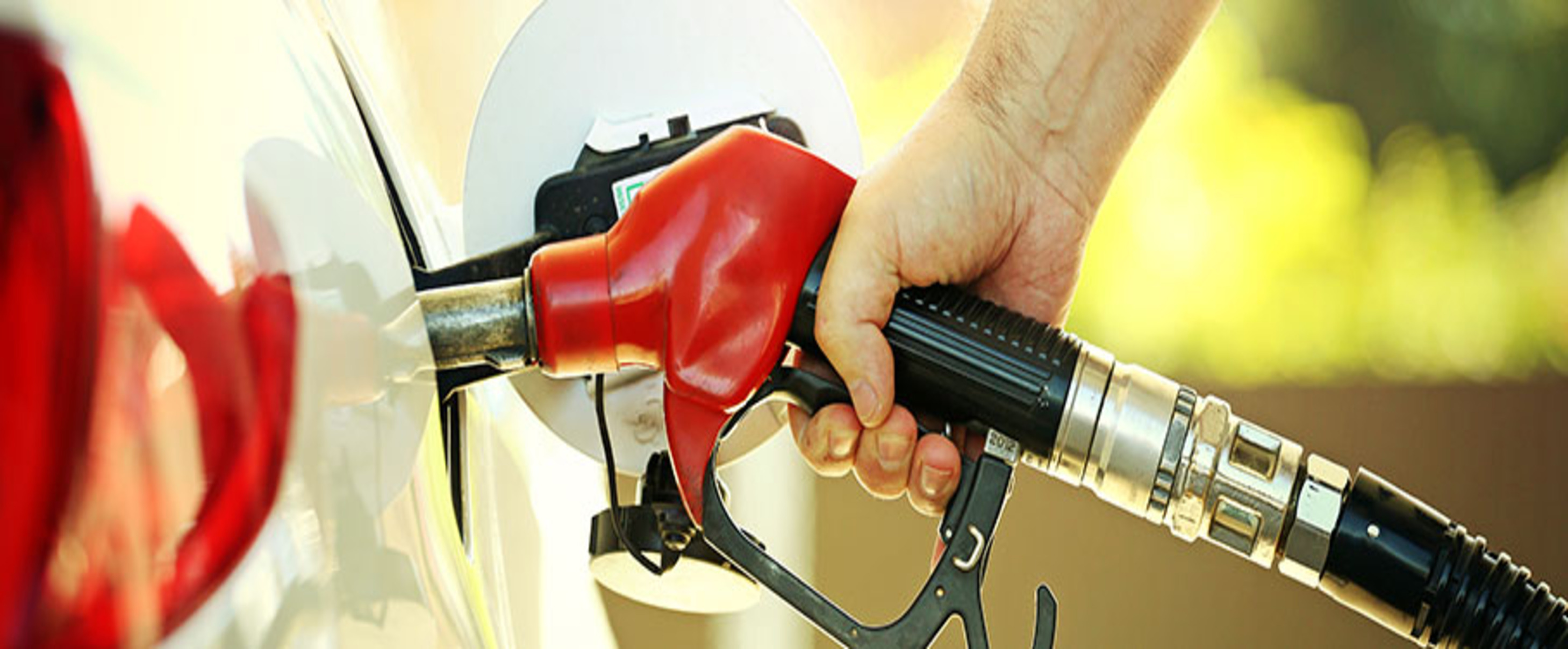 Maple Leaf Market Loyalty Program | Exclusive Promotions & Discounts